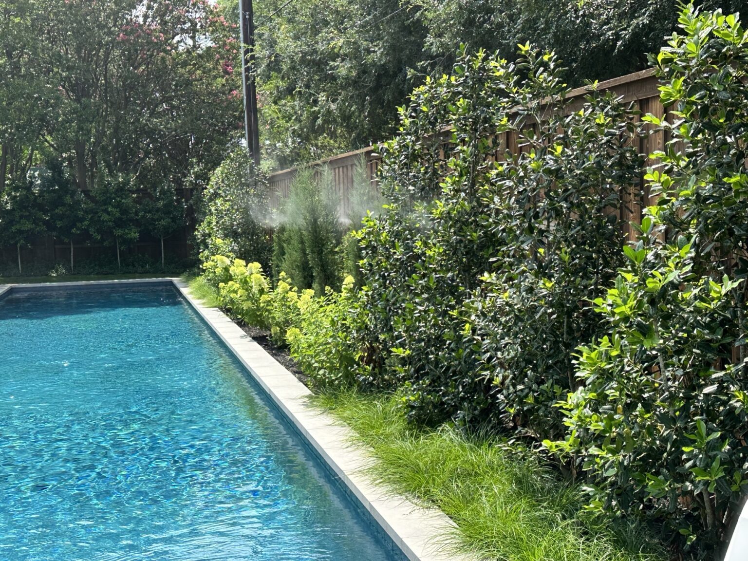 Outdoor Mosquito Repellent System Installation in DFW | Jacksons ...